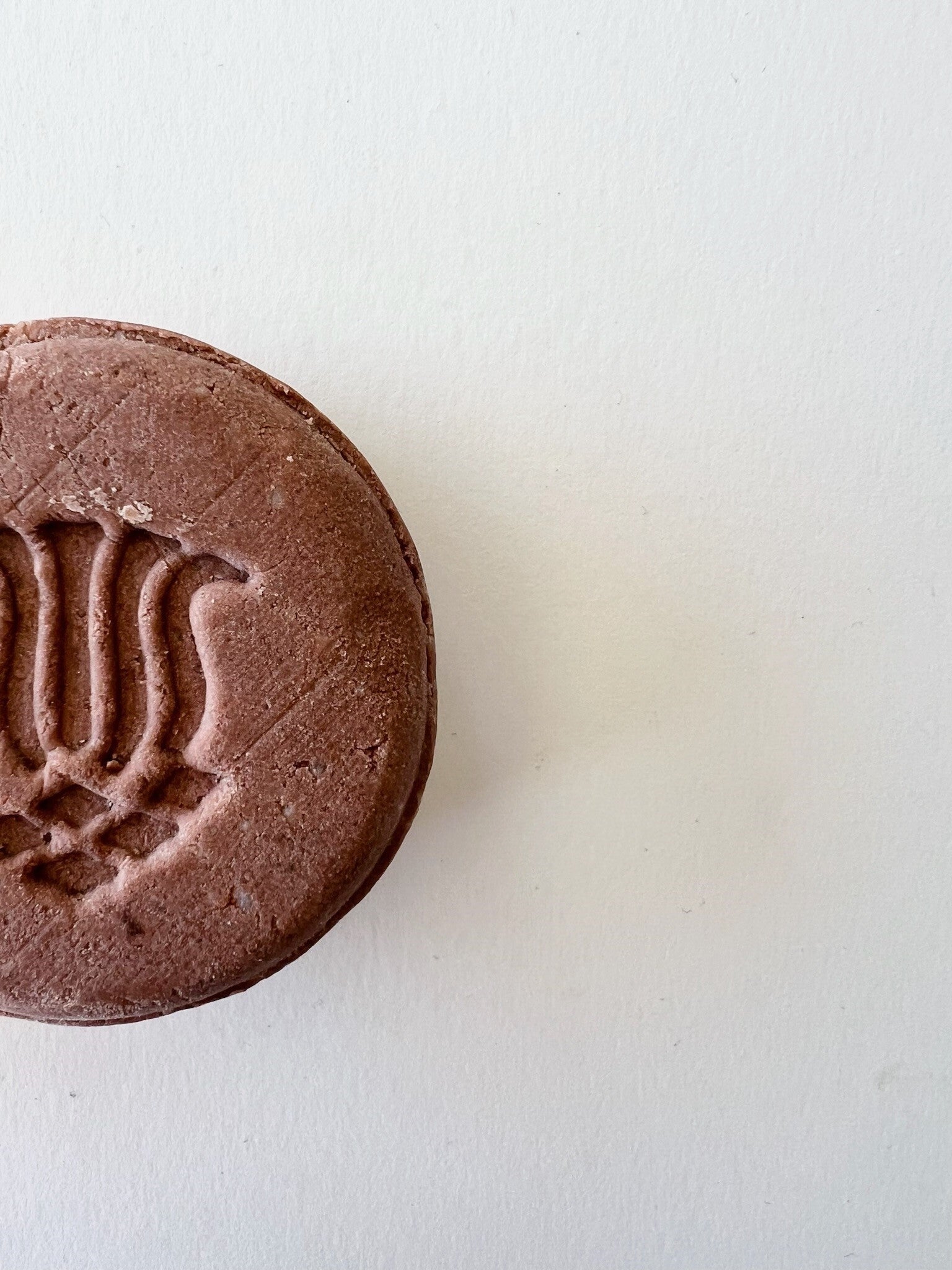 Arizona Thistle Shampoo Bar | Desert Refillery