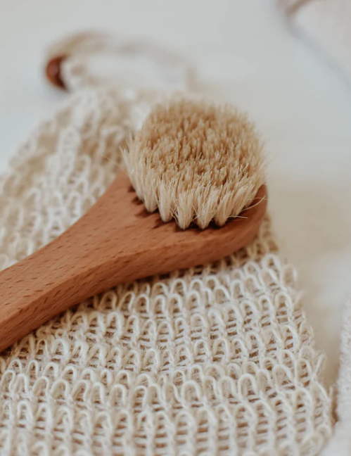 Dry Brush - Face | Desert Refillery